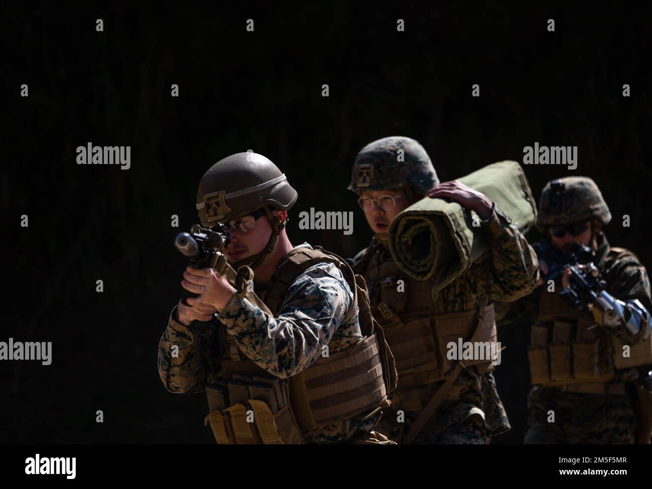 U.S. Marines with 1st Battalion, 3d Marines, 3d Marine Division conduct ...