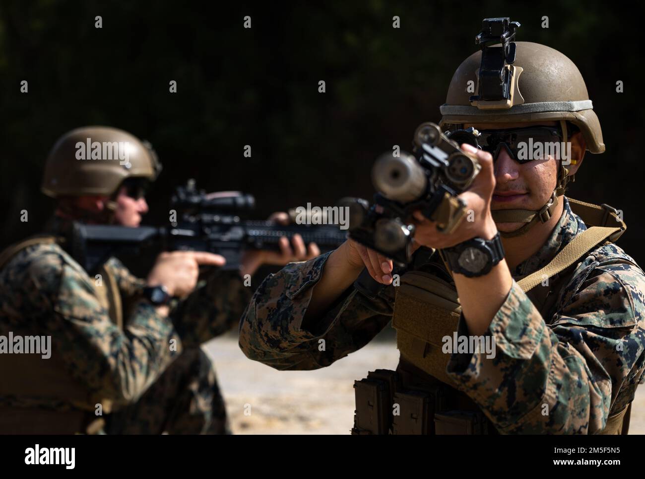 U.S. Marines with 1st Battalion, 3d Marines, 3d Marine Division post ...