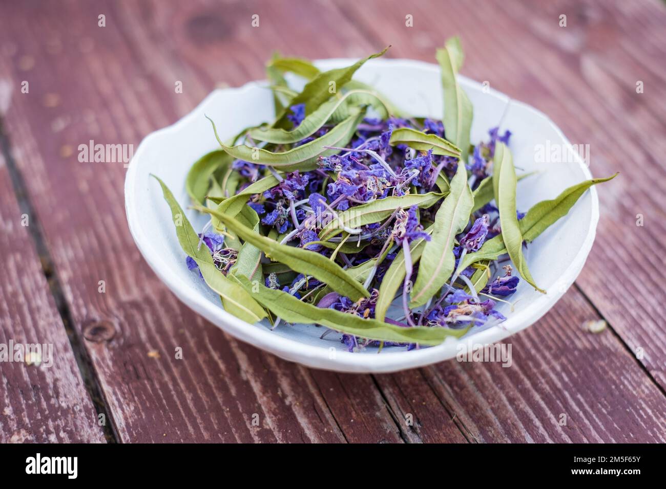Dried ivan tea hi-res stock photography and images - Alamy