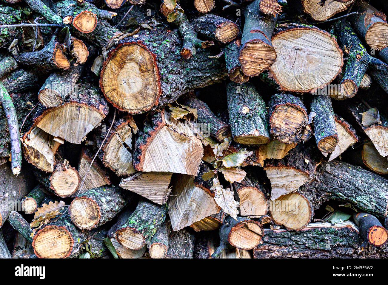 Pile of firewood stacked for the winter. Pile of cut wooden logs and ...
