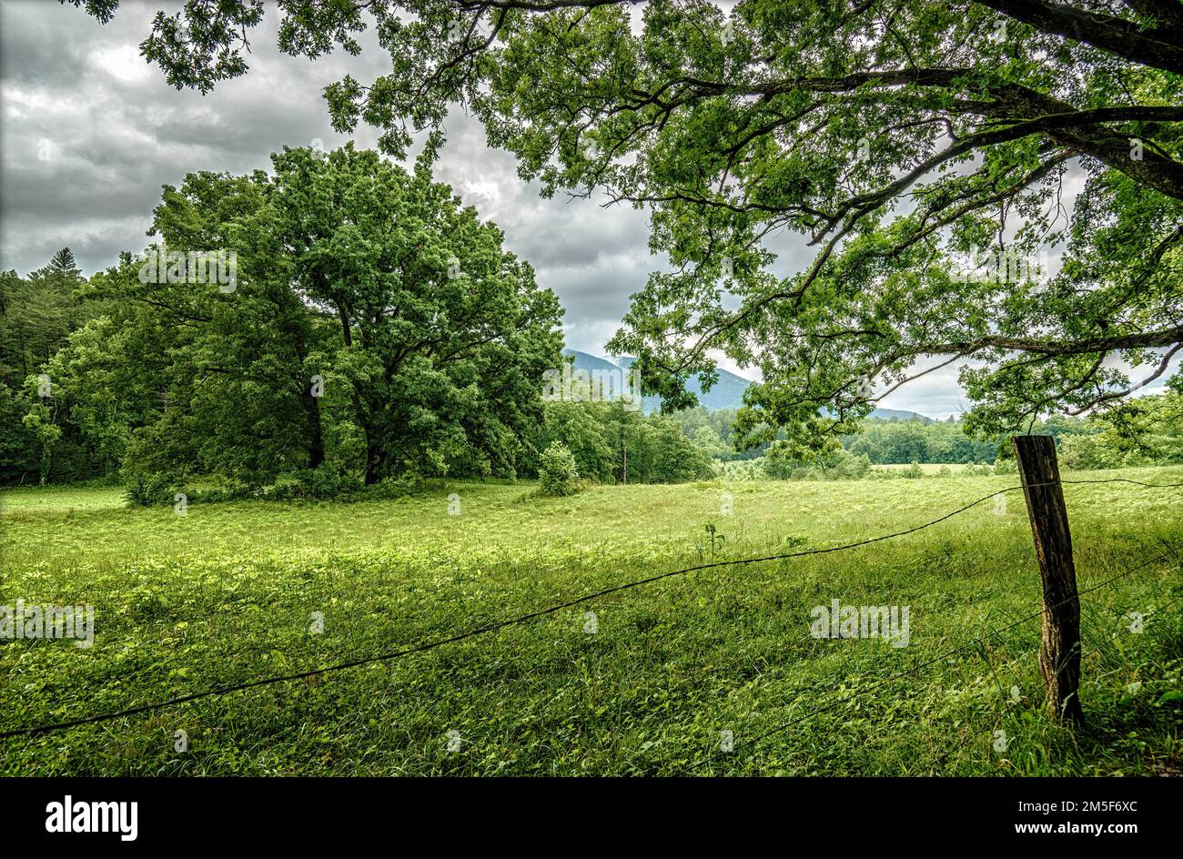 When springtime comes to the Cades Cove section of the Great Smoky ...