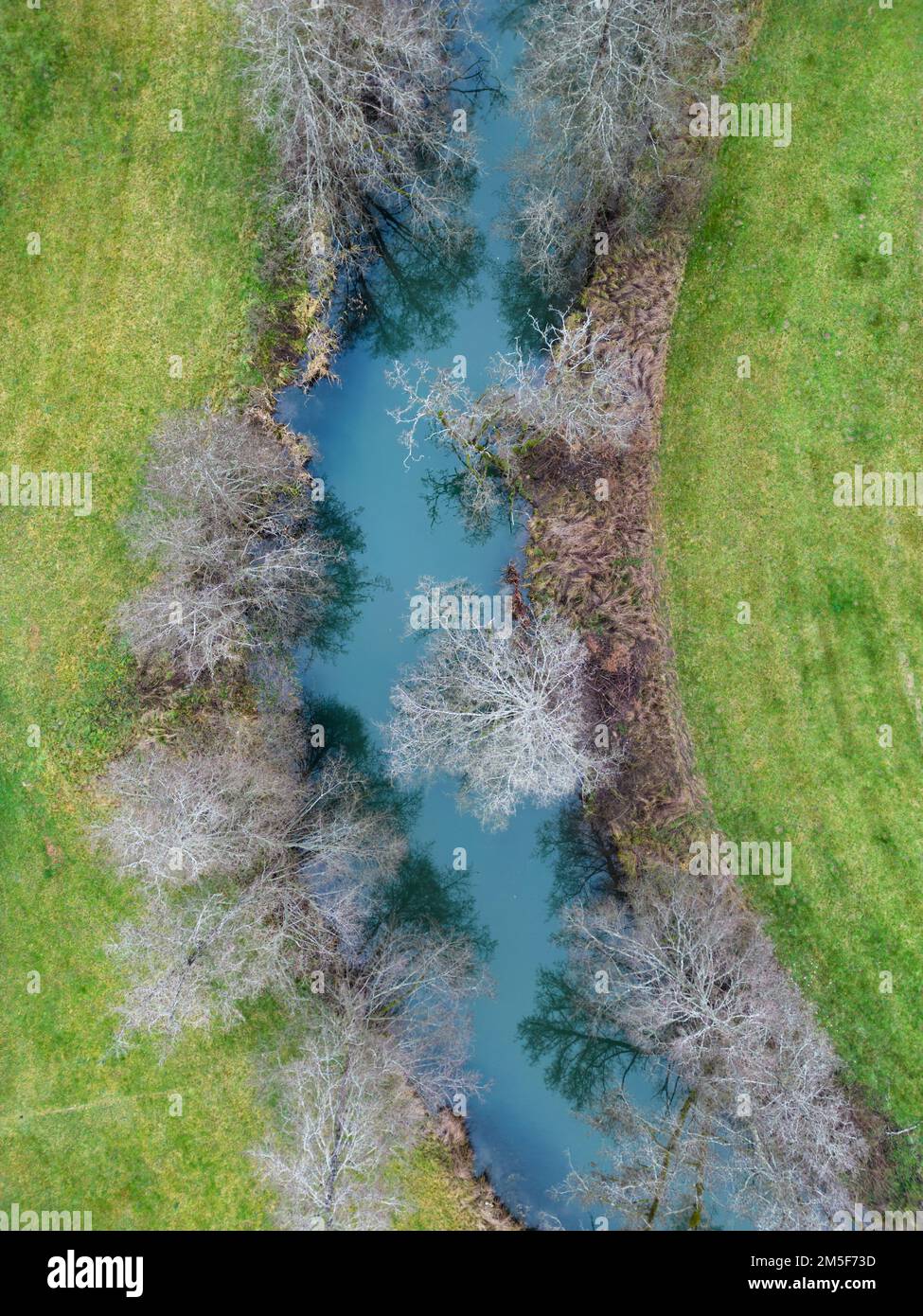 Tree in water top down hi-res stock photography and images - Alamy