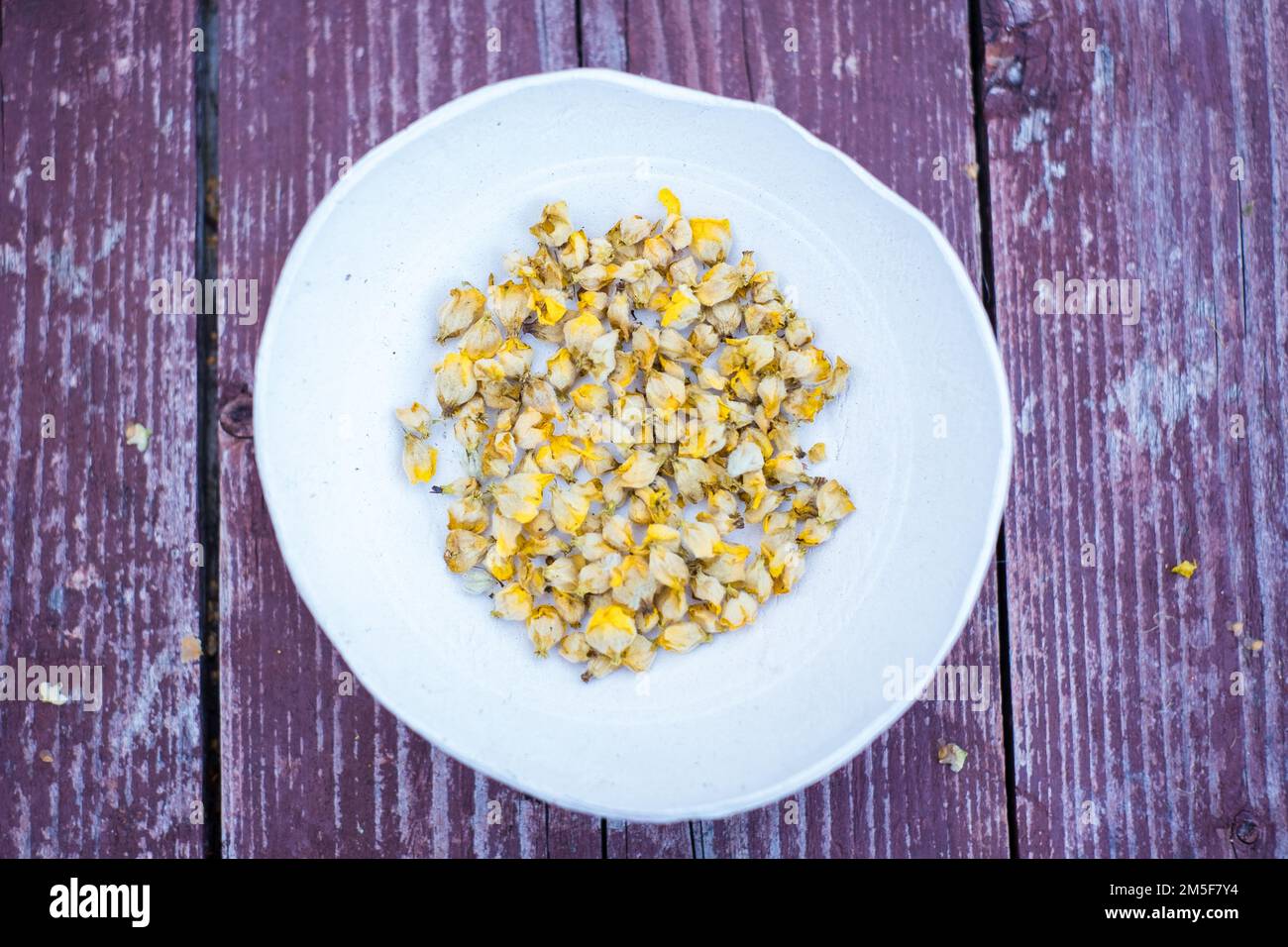 Dry herbal tea from Great mullein flowers or Verbascum thapsus in a ...
