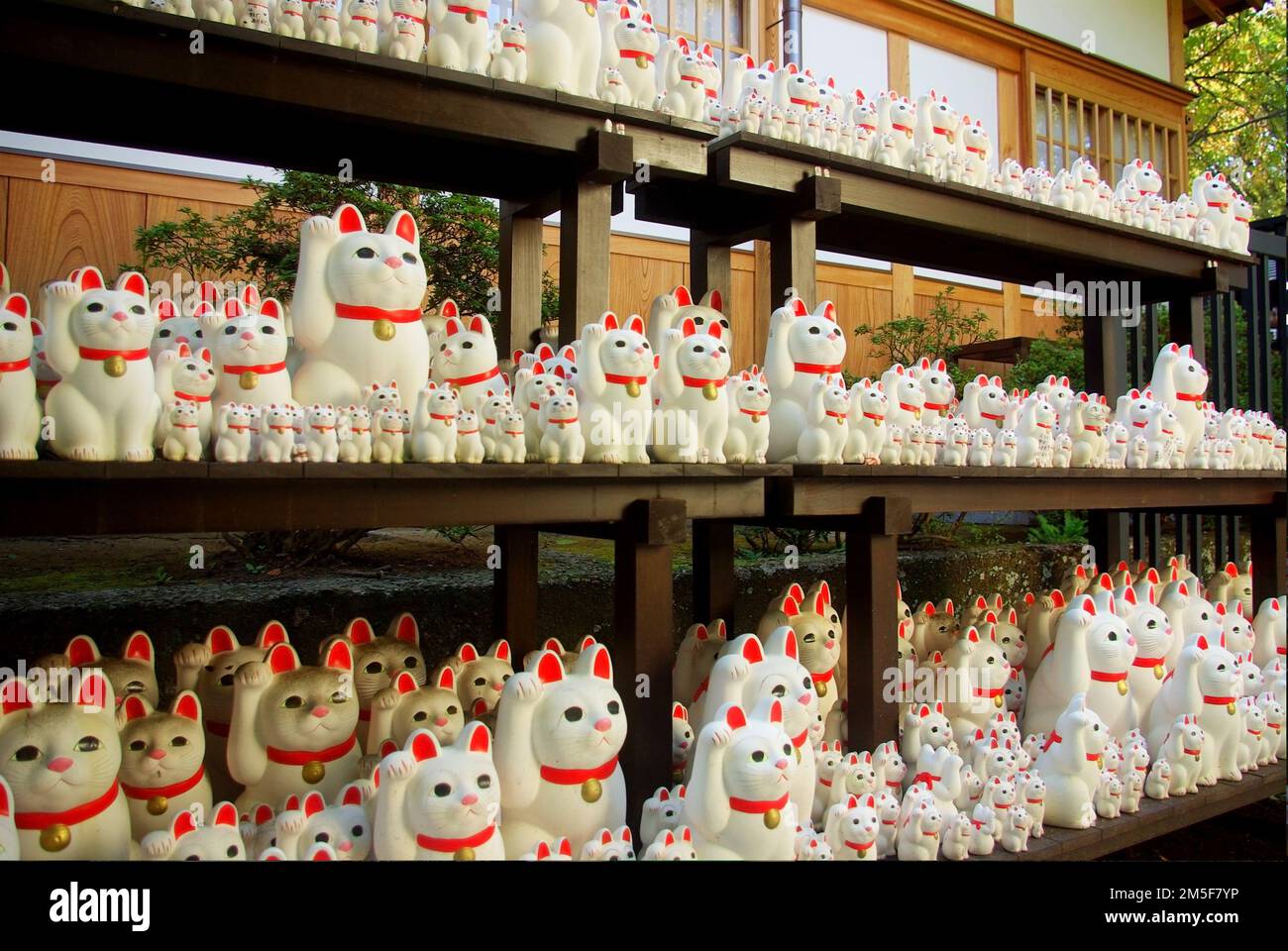 Cat statues at Gotokuji Temple Stock Photo - Alamy