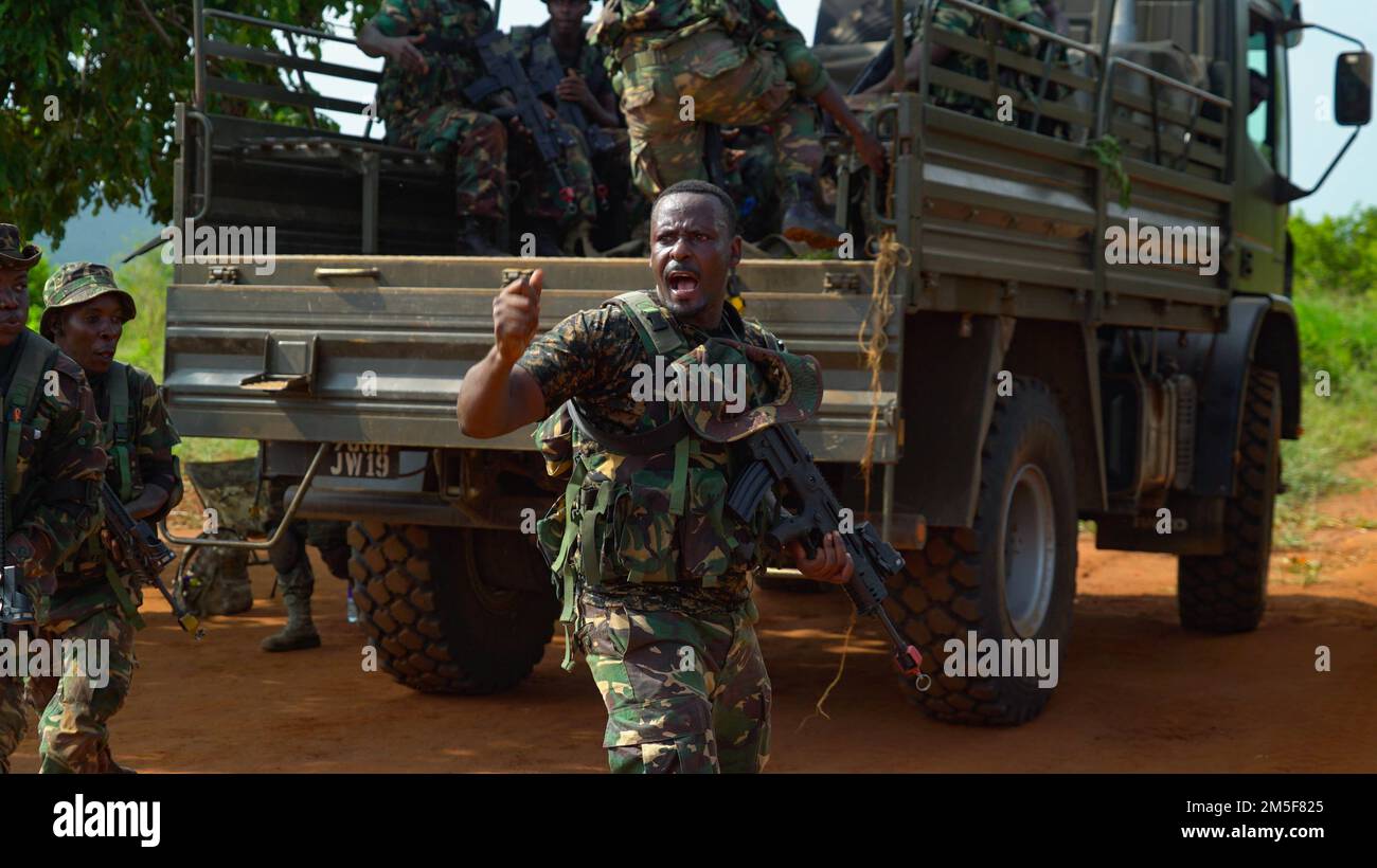 Tpdf hi-res stock photography and images - Alamy