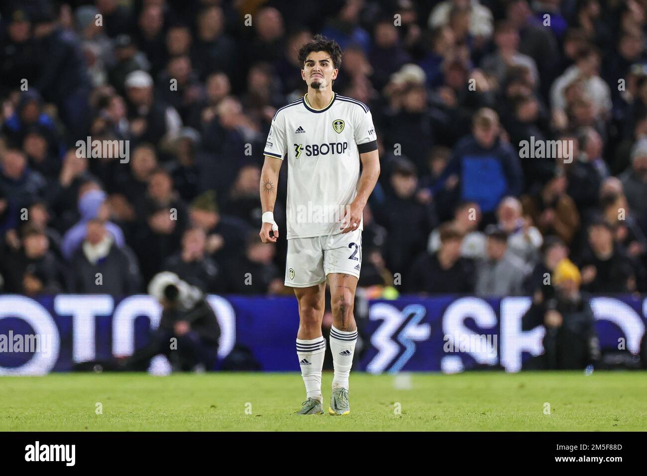 Pascal struijk manchester city hi-res stock photography and images - Alamy