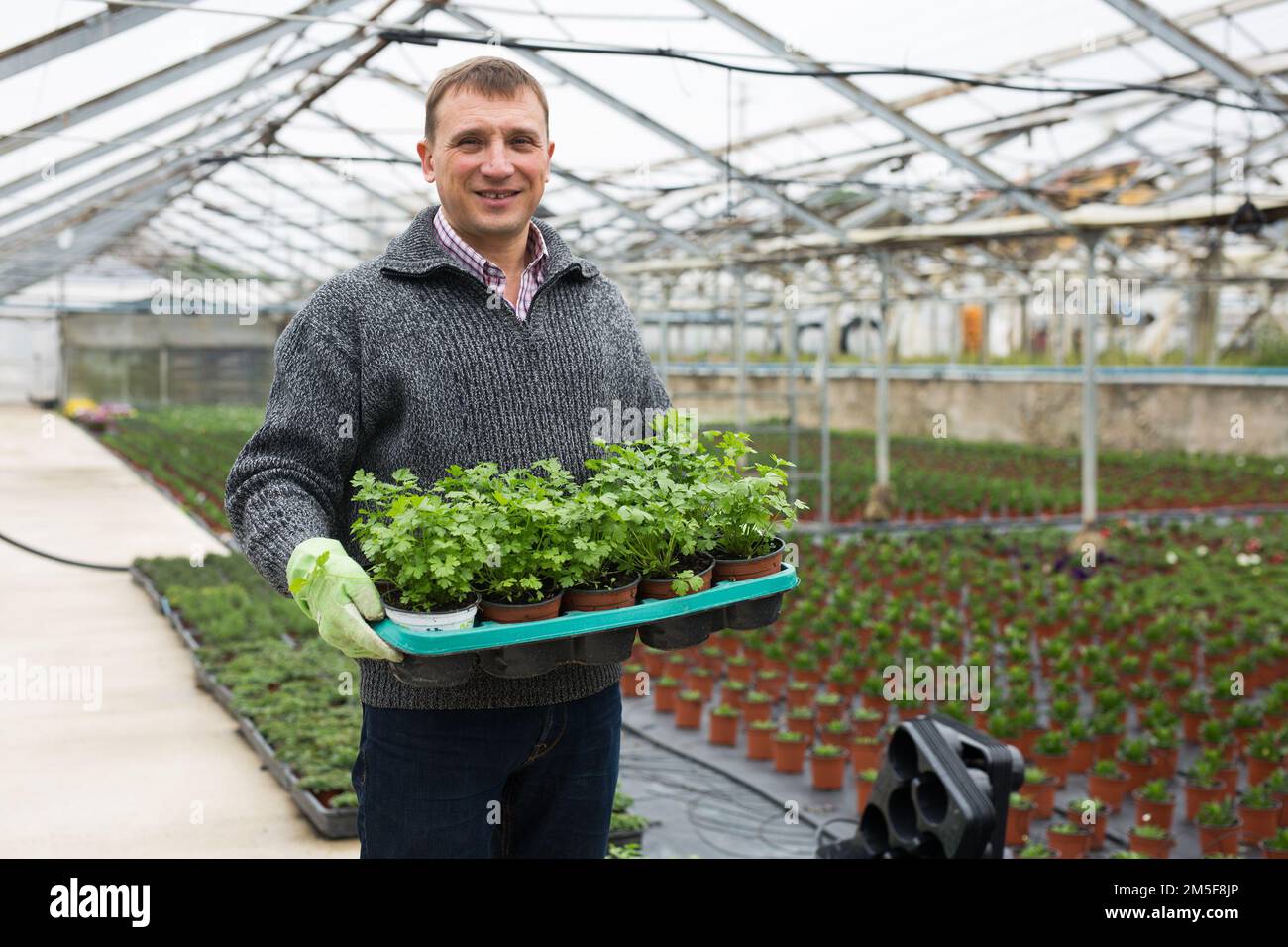 Man carrying pots hi-res stock photography and images - Alamy