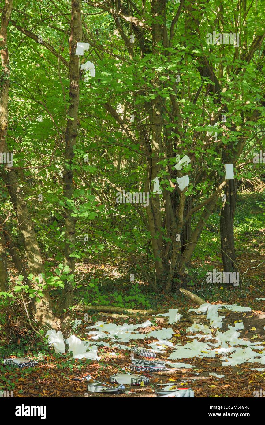 Wilful Environmental pollution of paper tissue deliberately discarded ...