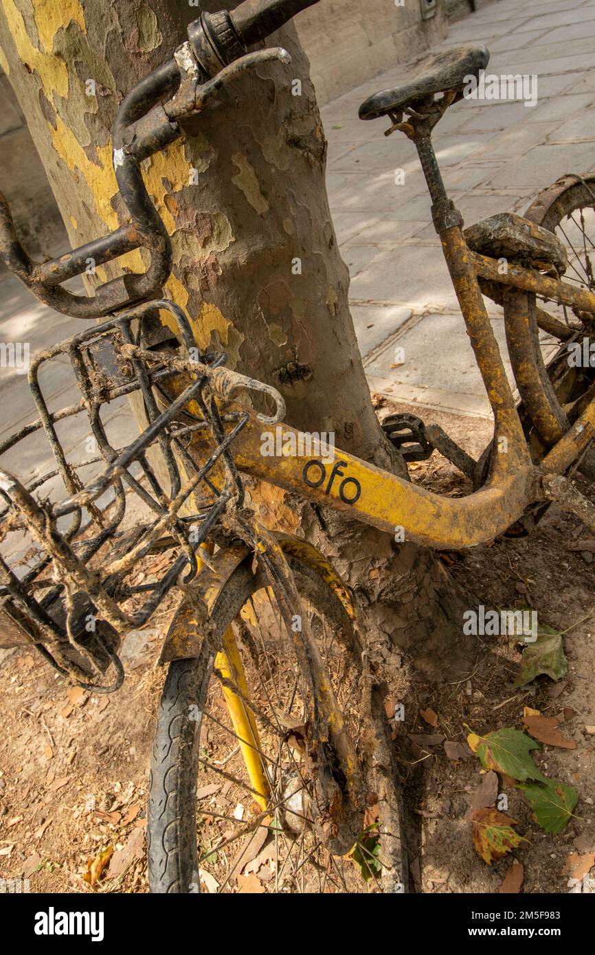 Close up found still life of discarded mountain bike against tree in ...