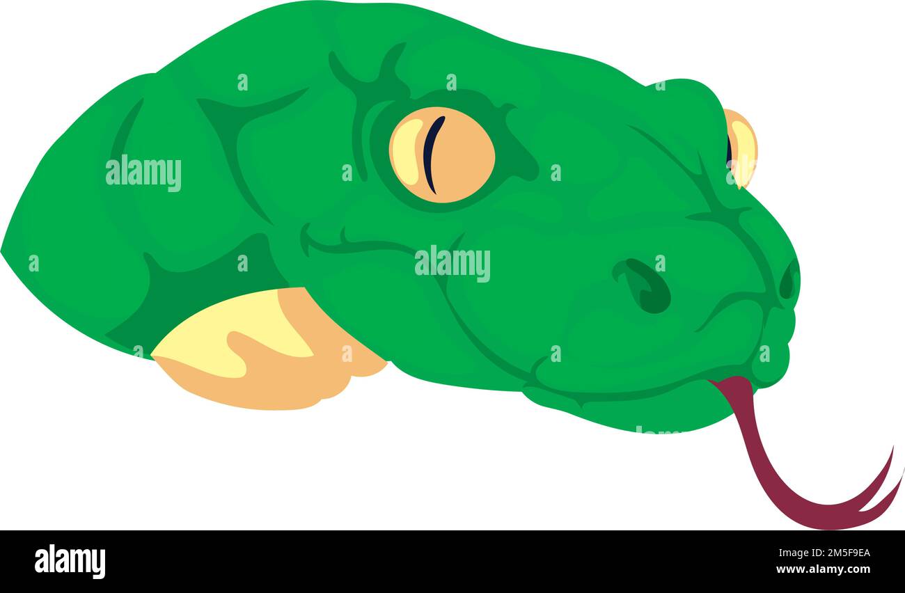 snake face deisgn Stock Vector Image & Art - Alamy