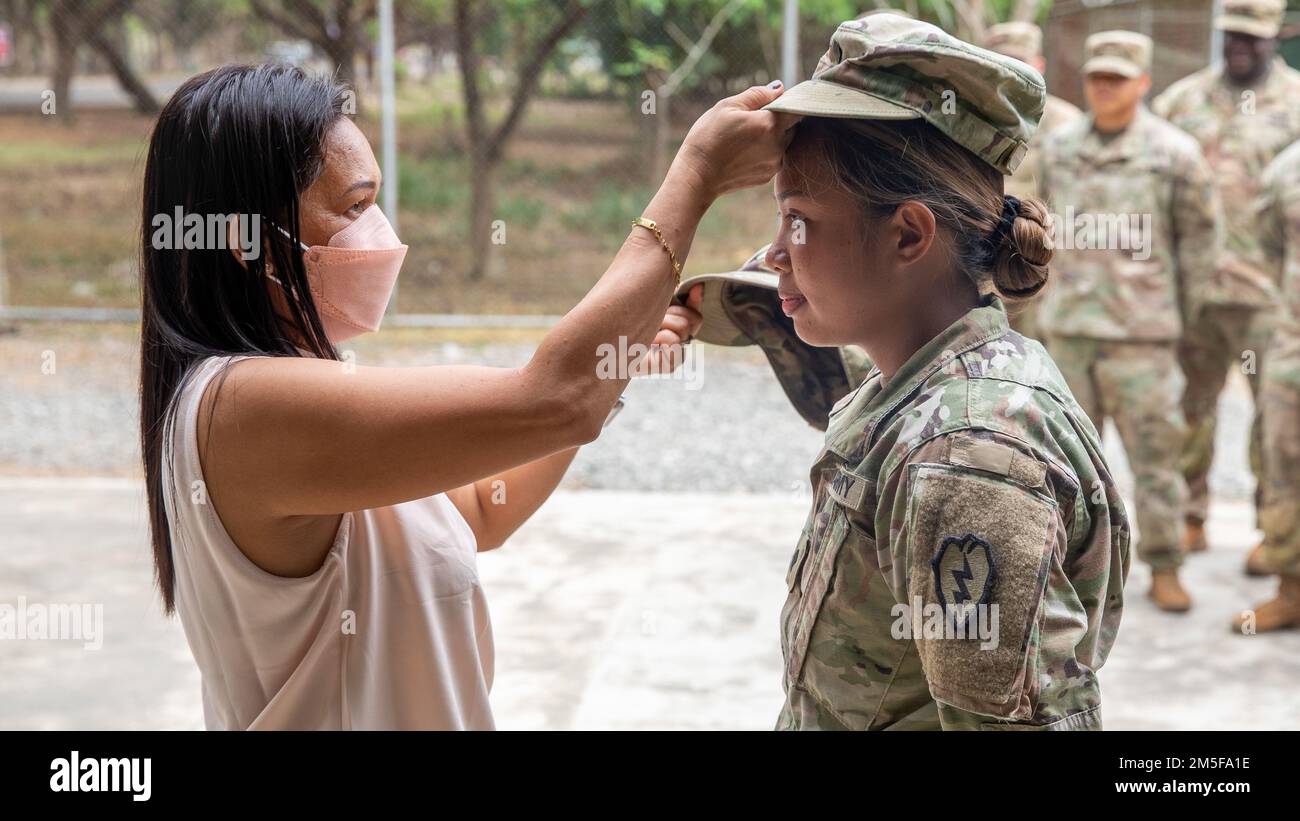 7th army insignia hi-res stock photography and images - Alamy