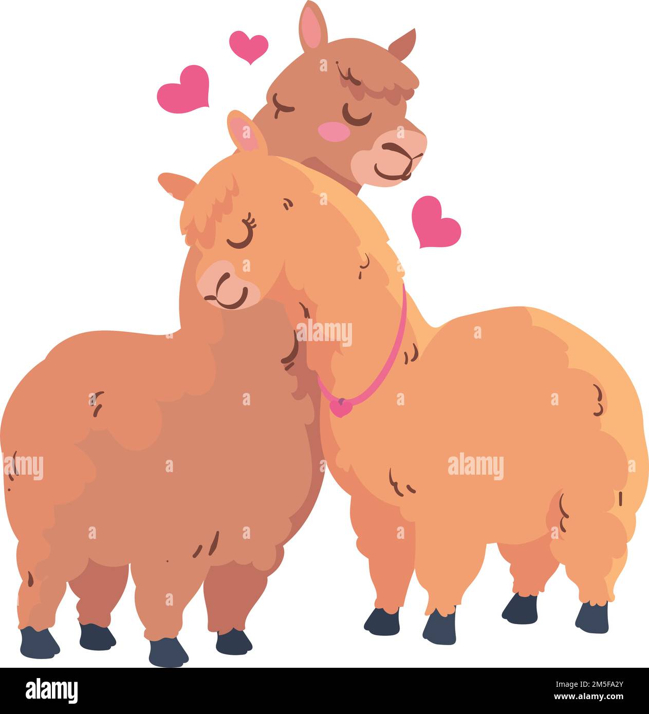 llamas couple design Stock Vector Image & Art - Alamy