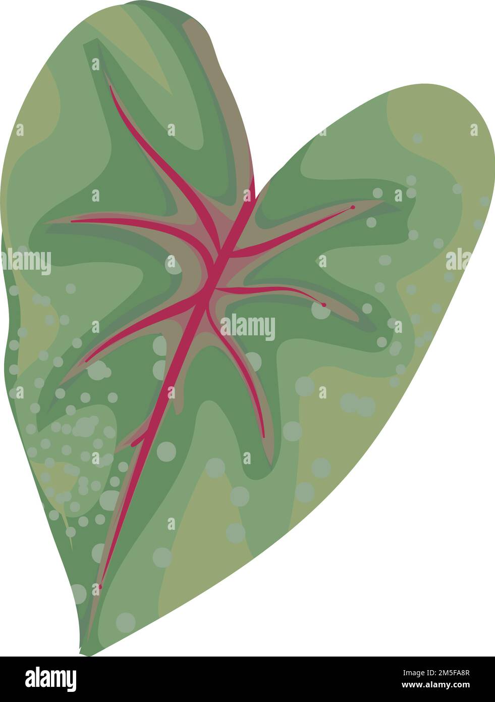 colored leaf design Stock Vector Image & Art - Alamy