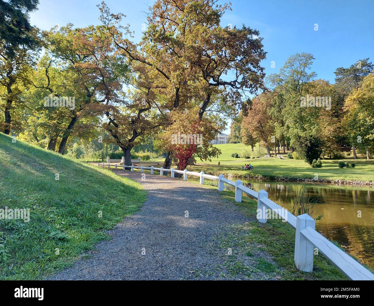 A beautiful park with a narrow pond and green lush trees on a sunny day ...