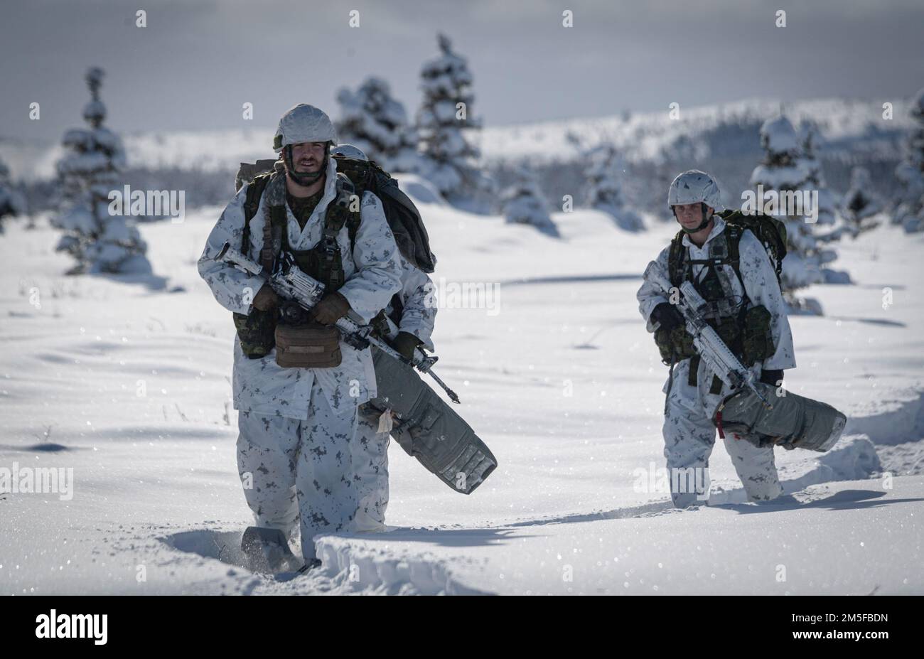 Members of the 3rd Battalion, Royal 22e Régiment Canadian Army hike to ...