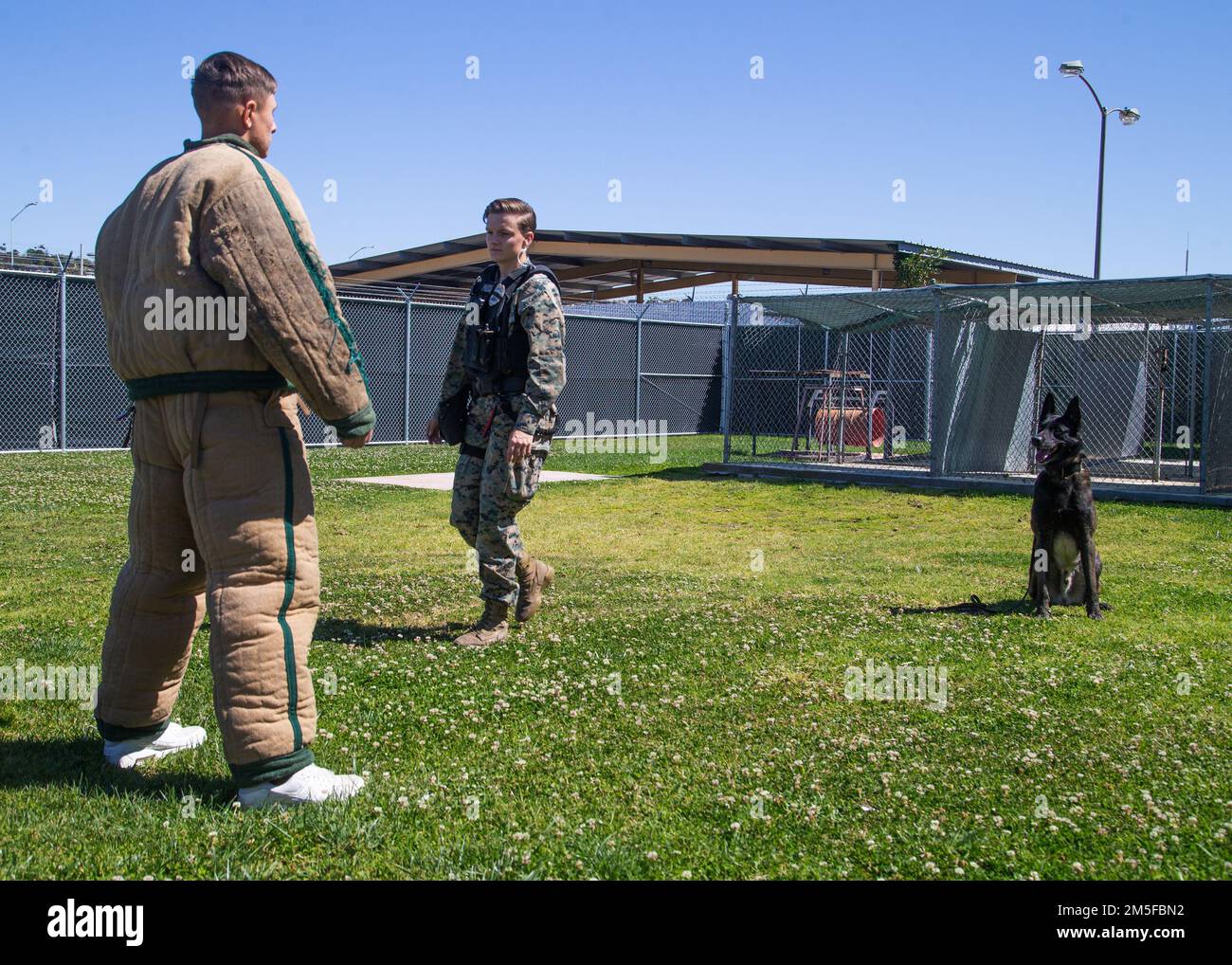 Mwd handlers hi-res stock photography and images - Alamy