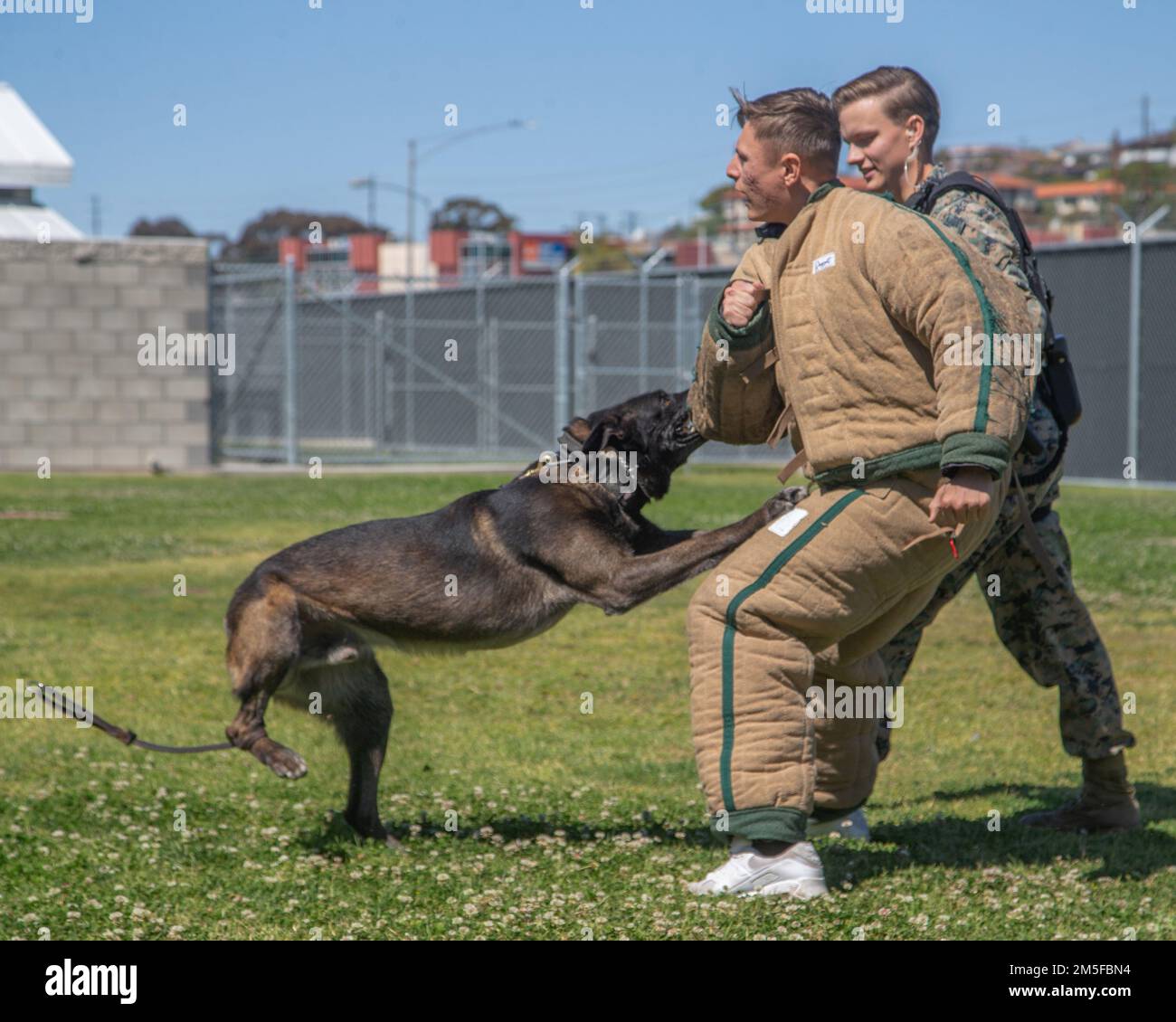 U.S. Marine Corps Cpl. Makayla A. Wedge, back, and Cpl. Dennis E ...