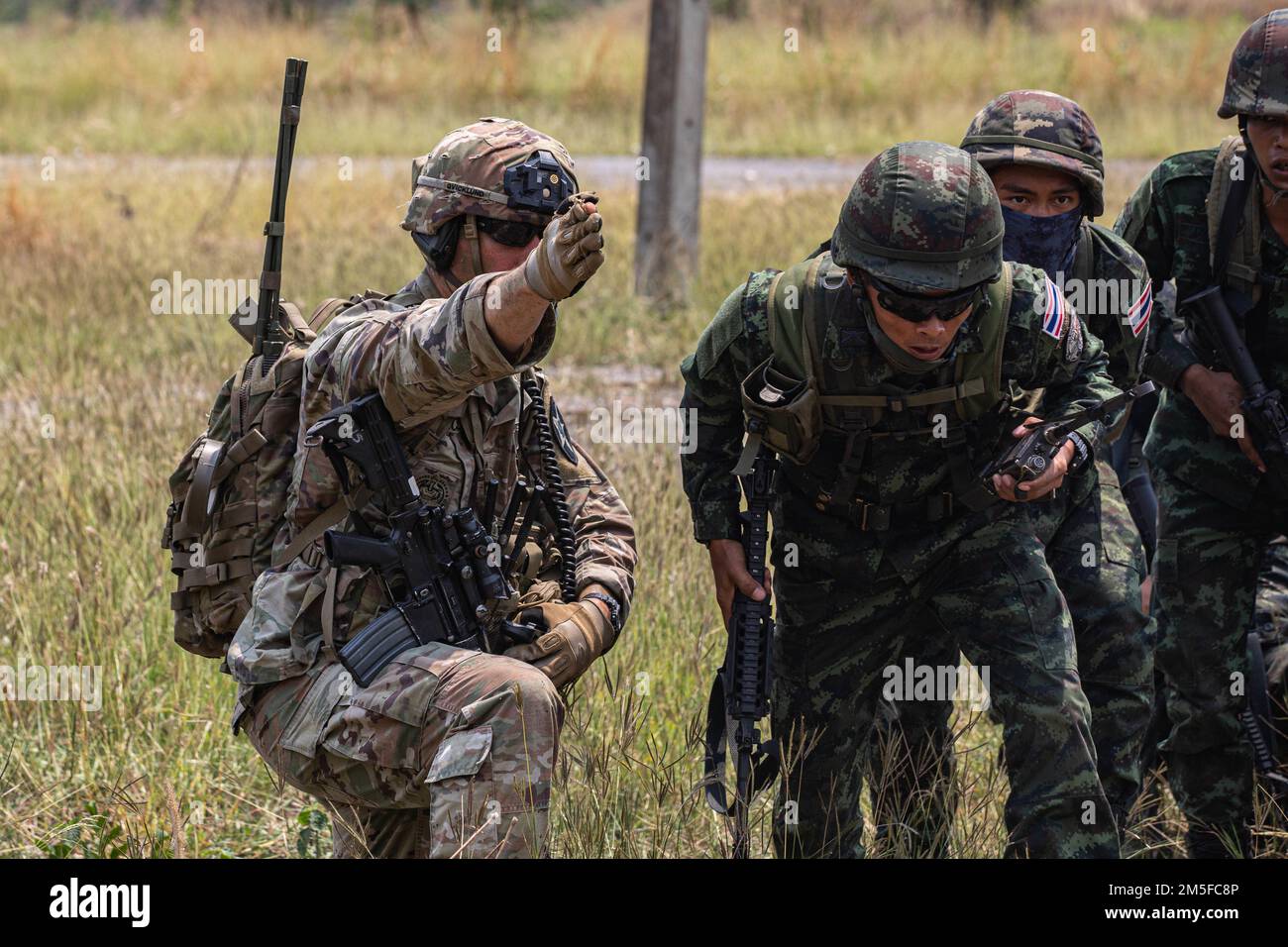 A U.S. Army Soldier from Braves Company, 4th Battalion, 23rd Infantry ...