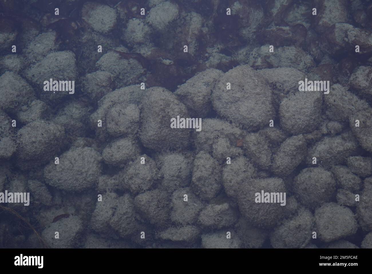 Bottom of a river hi-res stock photography and images - Alamy