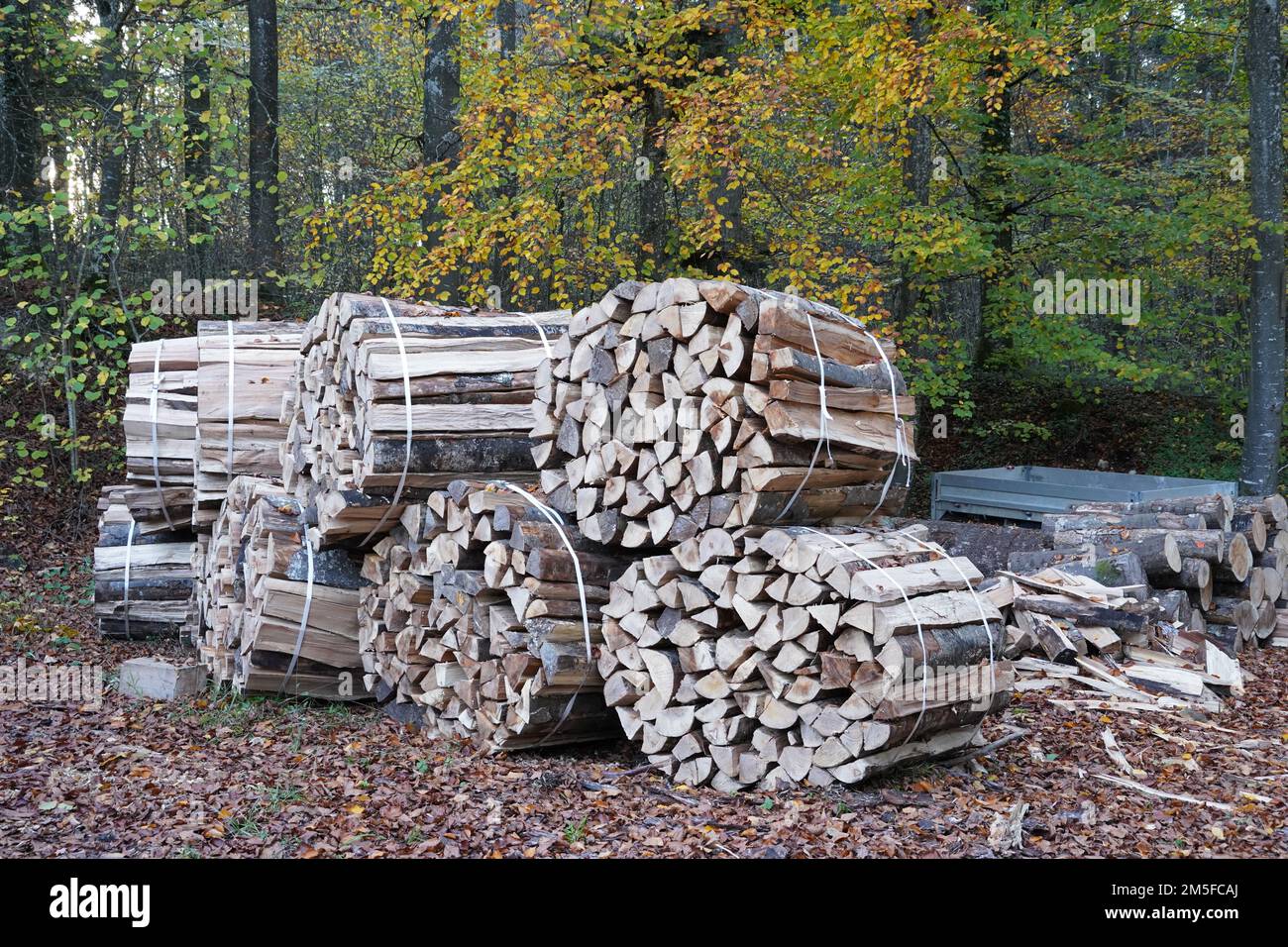 Logs of firewood bound together into big bundles and stored outside in ...