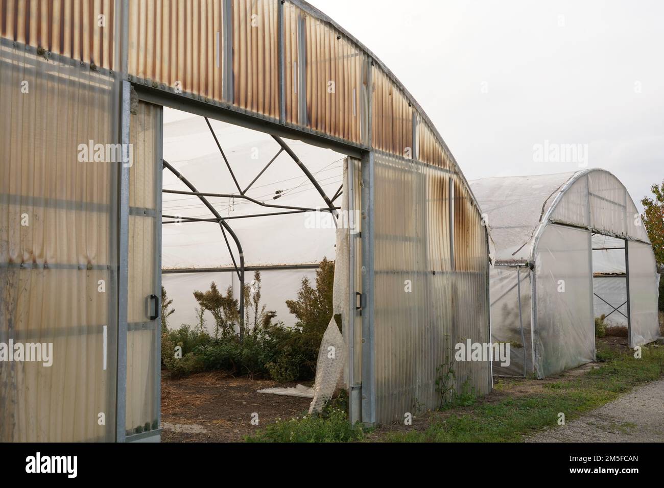 View on two big abandoned greenhouses without door Stock Photo - Alamy