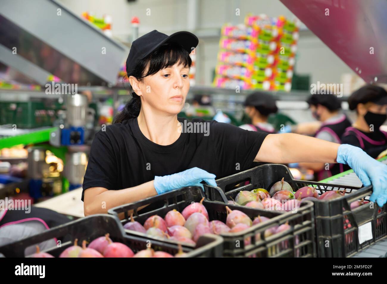 Uniform sorting department hi-res stock photography and images - Alamy