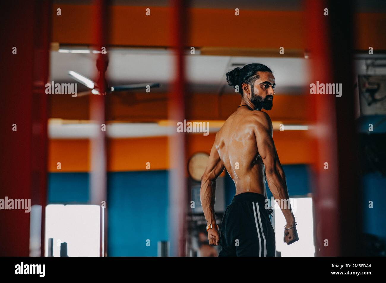 A selective focus shot of a male bodybuilder in a gym Stock Photo - Alamy