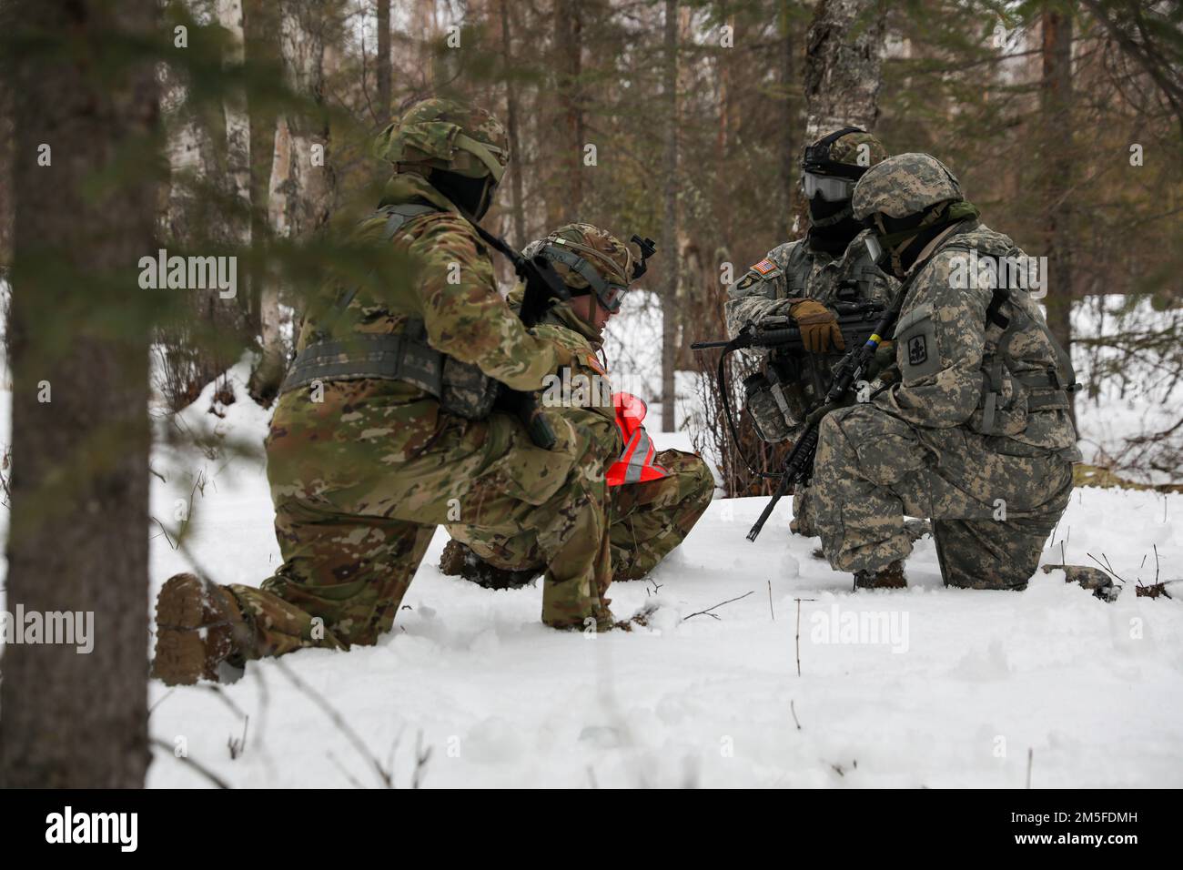 Alaska Army National Guard Soldiers with Avalanche Company, 1-297th ...