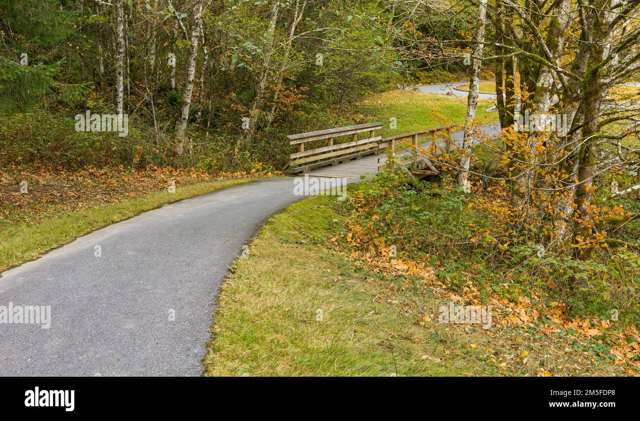 Pathway and beautiful trees track for running or walking and cycling ...