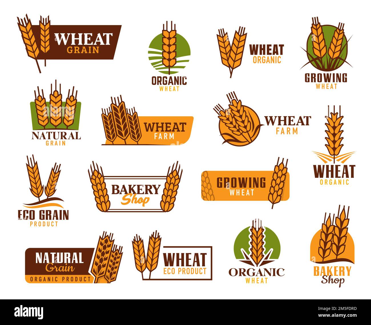 Cereal vector icons. Wheat, rice, oat, barley and millet ears. Organic ...