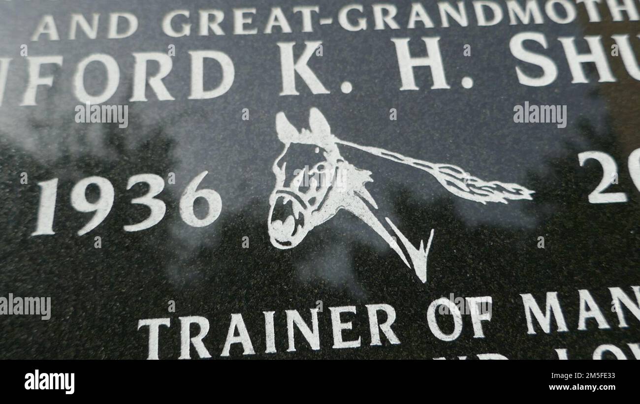 Los Angeles, California, USA 22nd December 2022 Horse Trainer Ina Sue ...