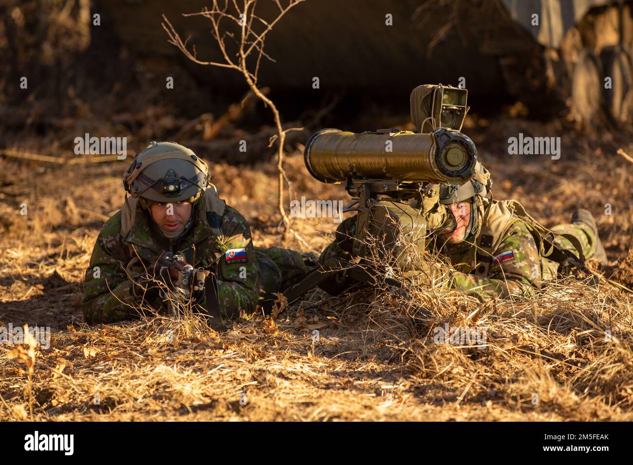 Lest military training area hi-res stock photography and images - Alamy