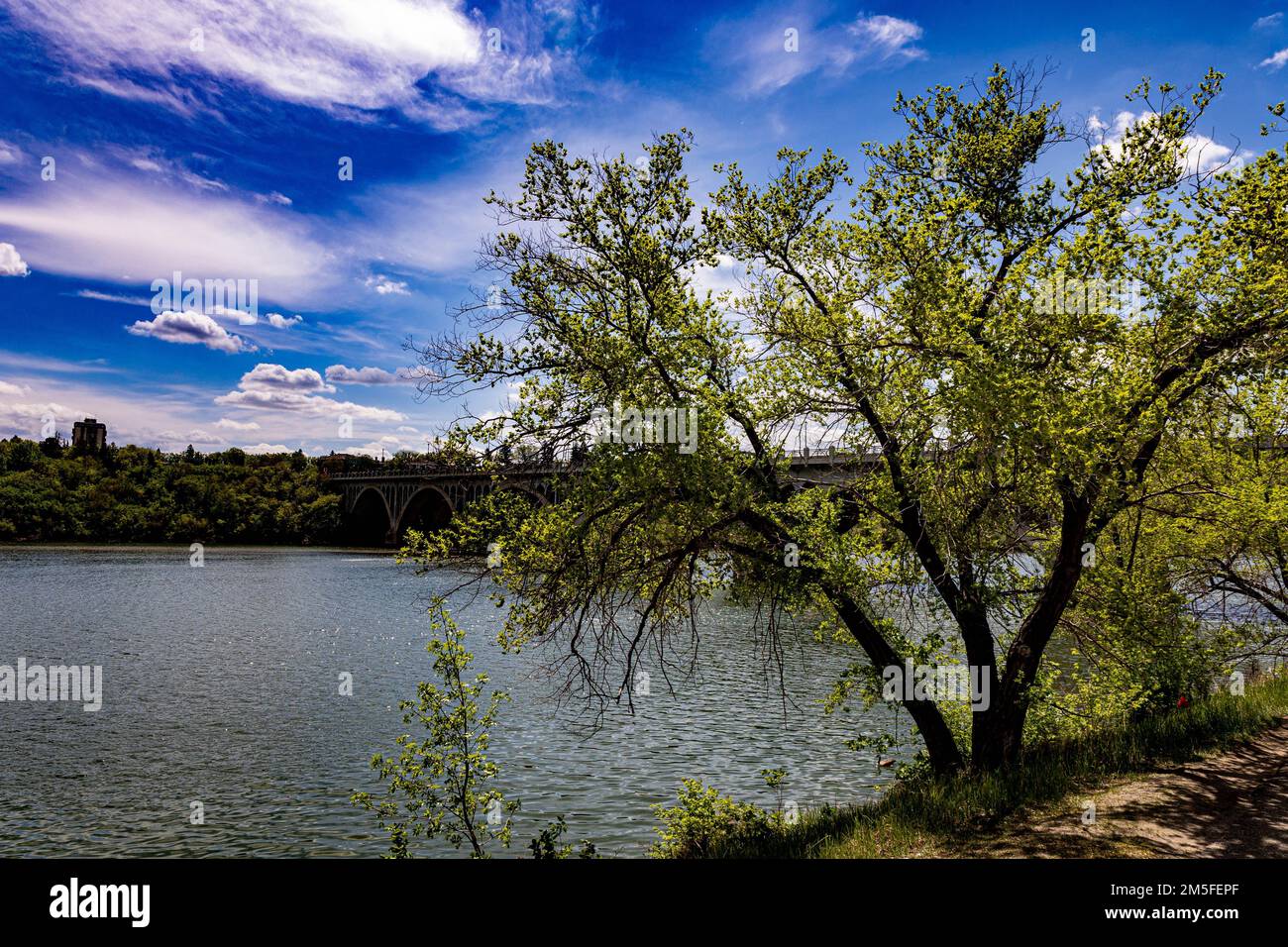 The Saskatoon river through trees with bridge view, sunlit sky ...