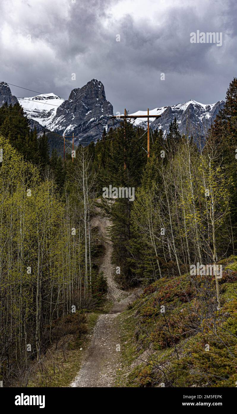 A vertical of path leading to mountains in Canmore, Canada Stock Photo ...