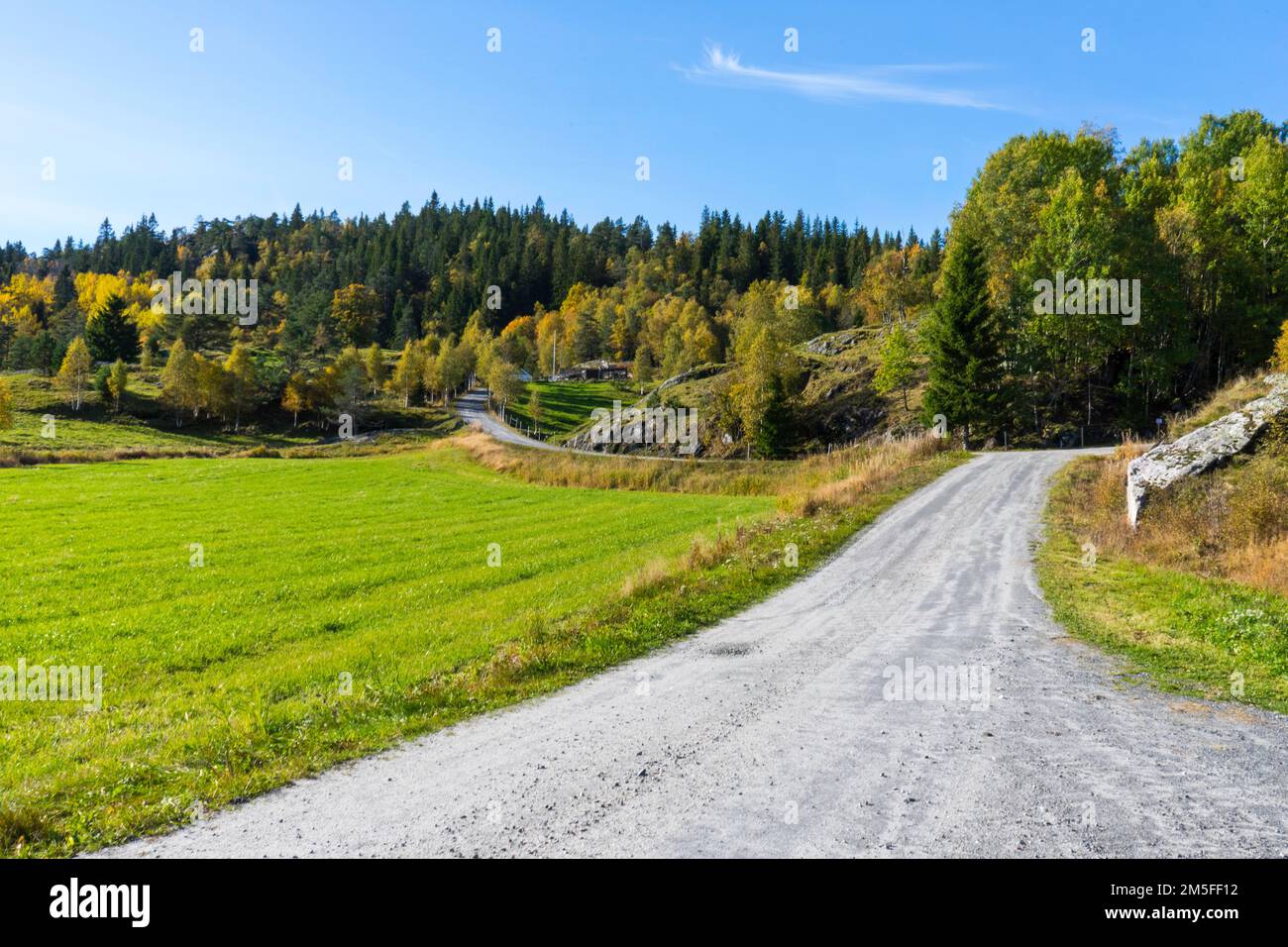 A dusty path through a green field leading to a thick forest, clear ...