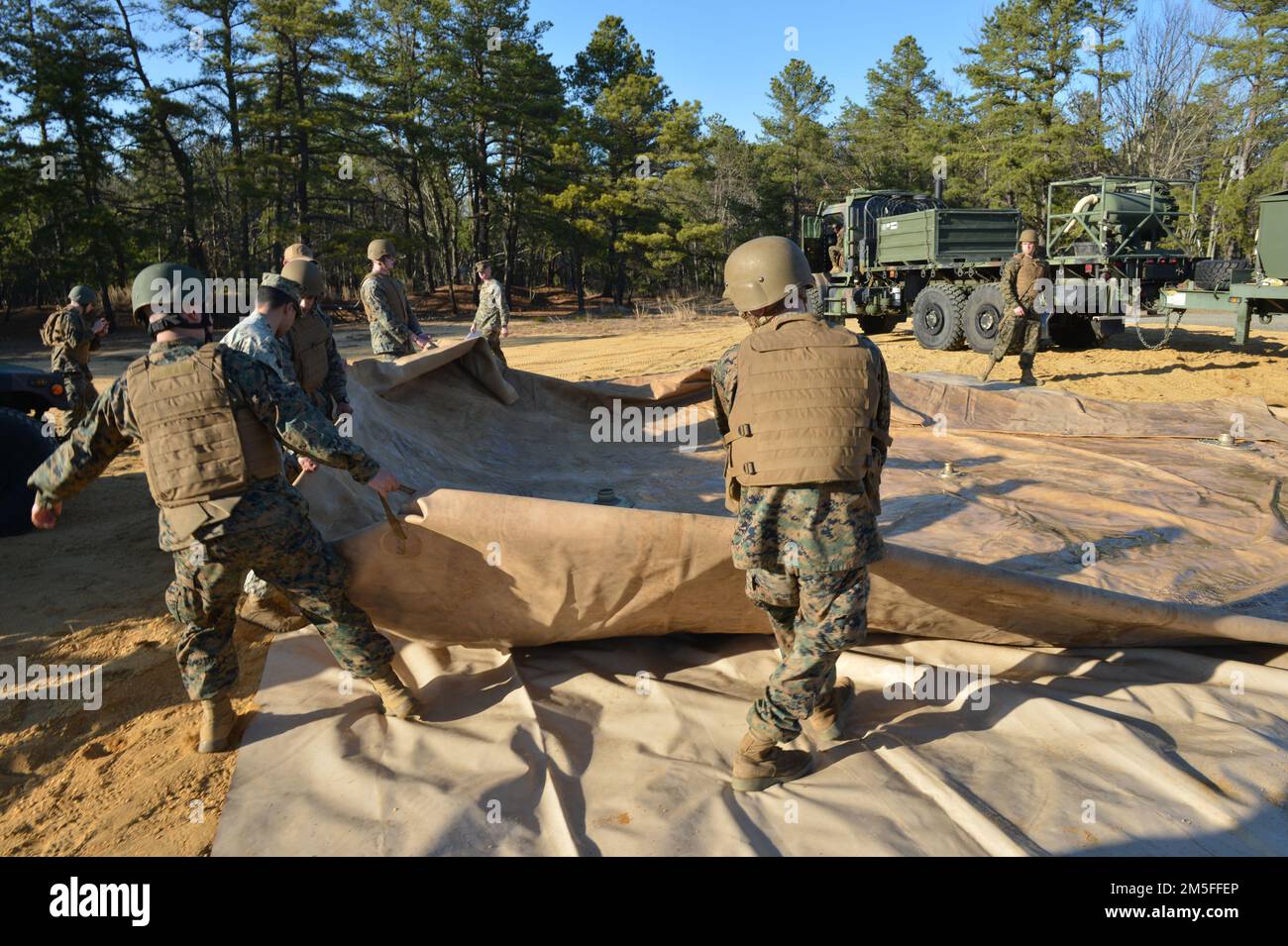 The blue-green teams of the Navy and Marine Corps expeditionary forces ...