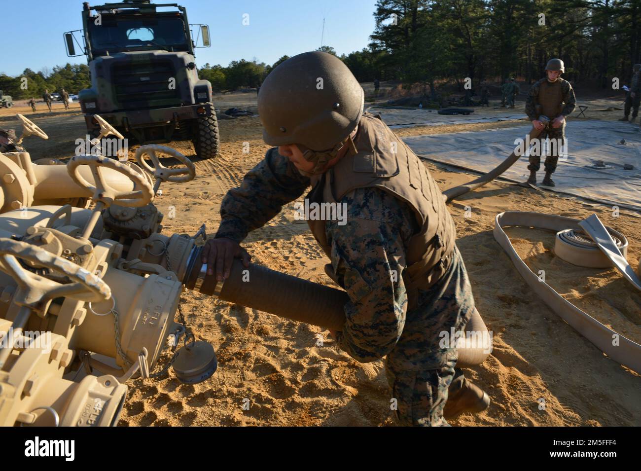 The blue-green teams of the Navy and Marine Corps expeditionary forces ...