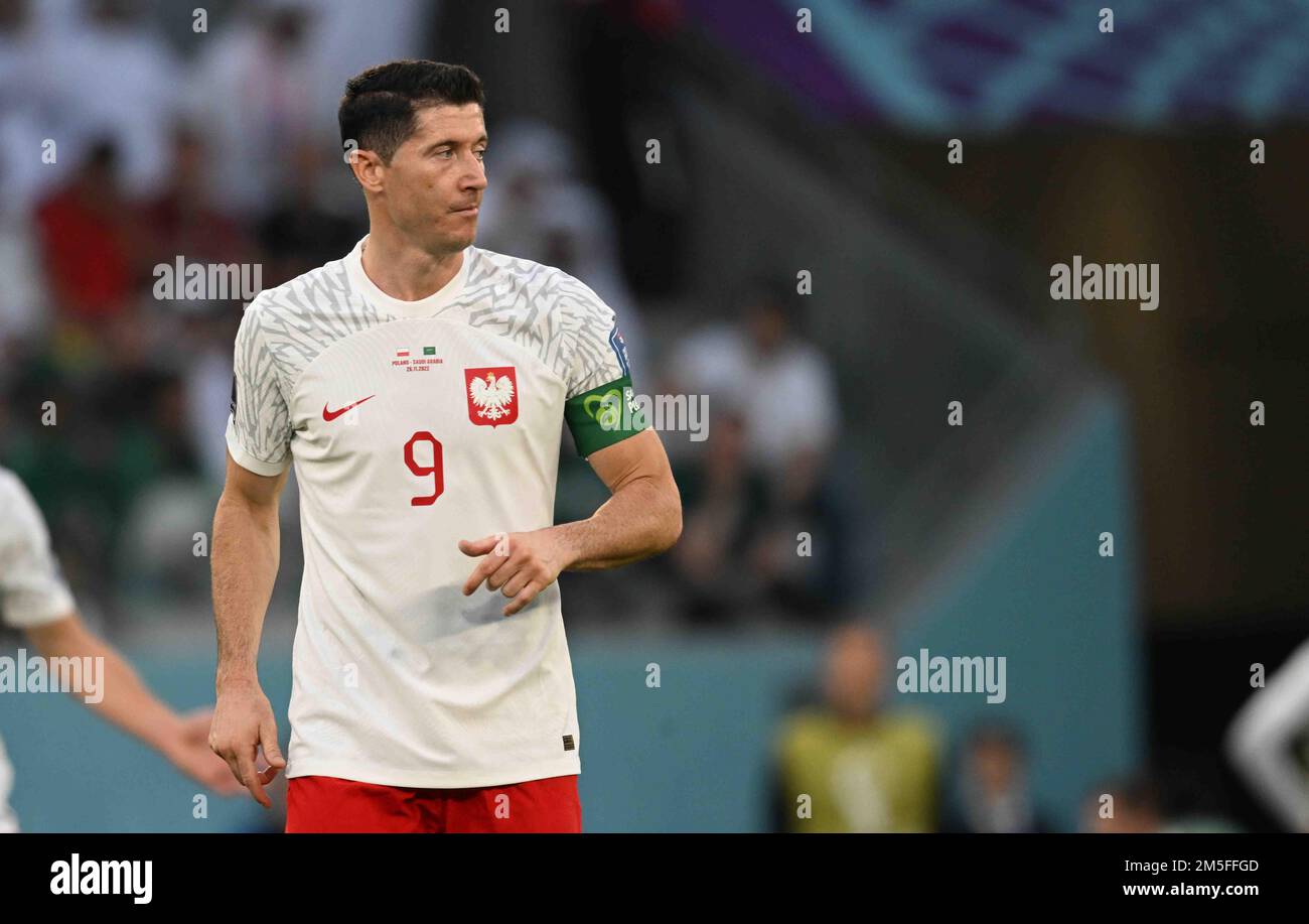 Robert LEWANDOWSKI in action during the FIFA 2022 World Cup group match ...