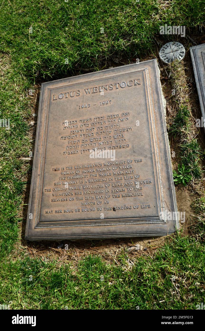 Los Angeles, California, USA 22nd December 2022 Comedian/entertainer ...