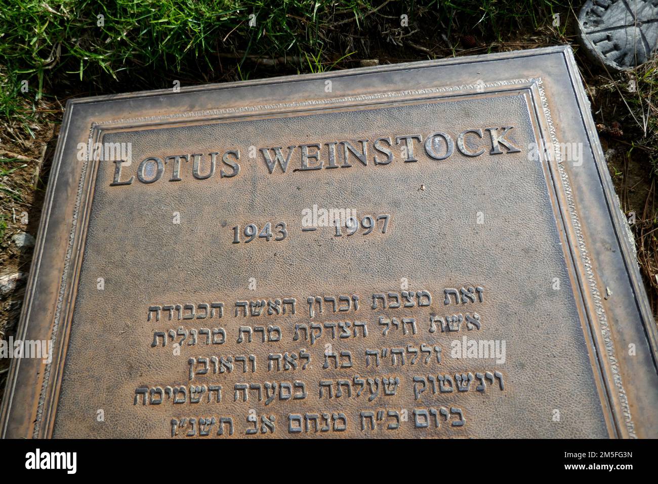 Los Angeles, California, USA 22nd December 2022 Comedian/entertainer ...