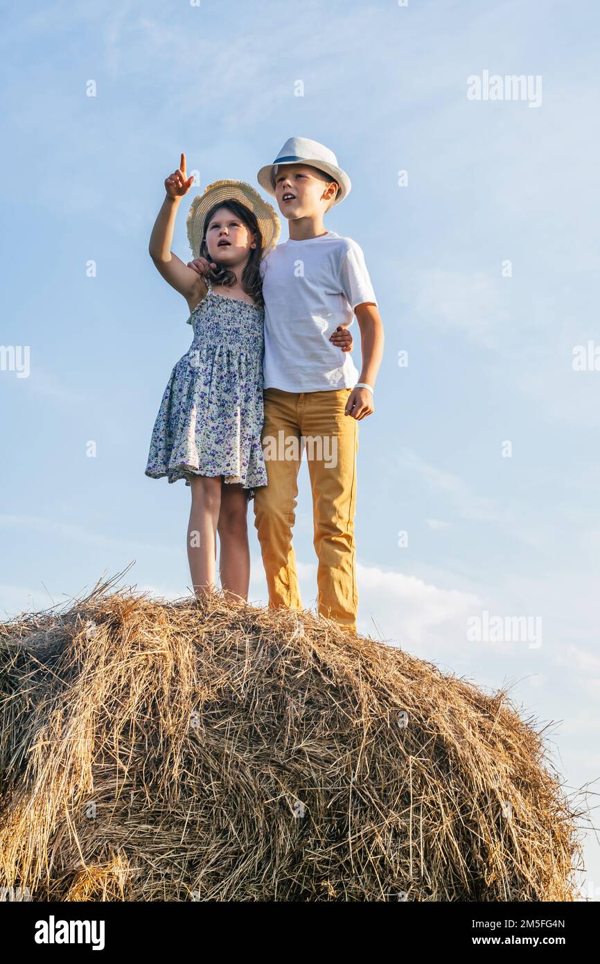 Cute little girl and boy stand at top of haystack in hug and with ...