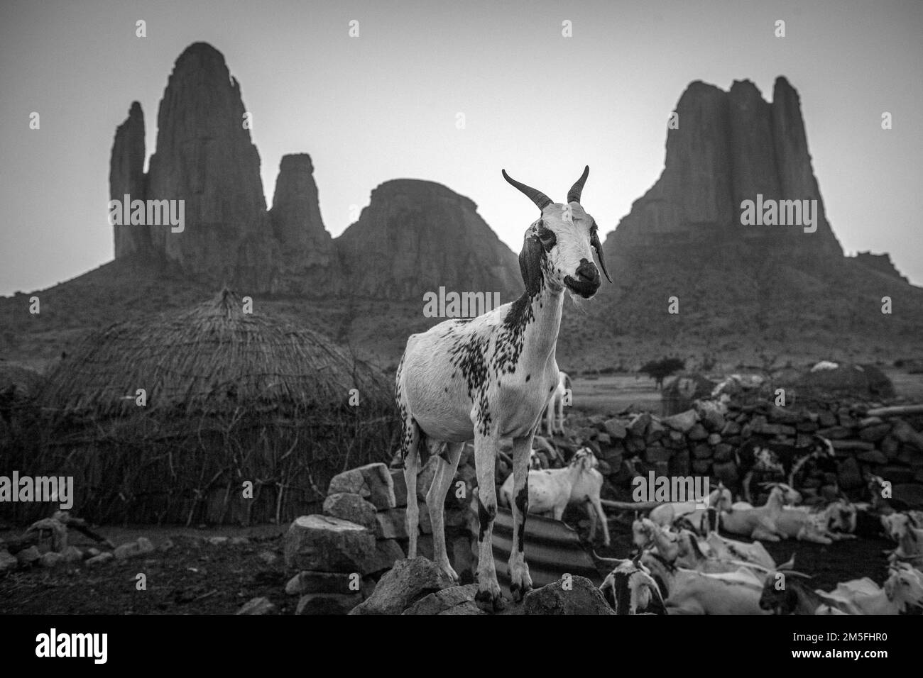 Landscape view of the Monument Valley of Mali with the Main de Fatima ...