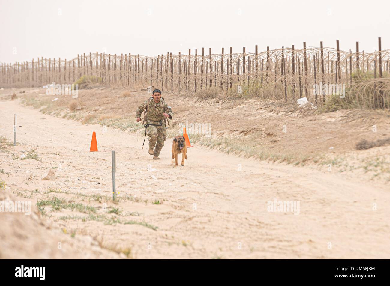 100 security forces squadron hi-res stock photography and images - Alamy