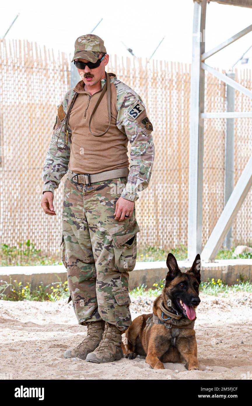 Security forces k9 handler dog hi-res stock photography and images - Alamy