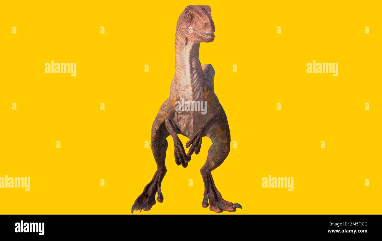 The velociraptor roaring dinosaur isolated on a yellow blank background ...