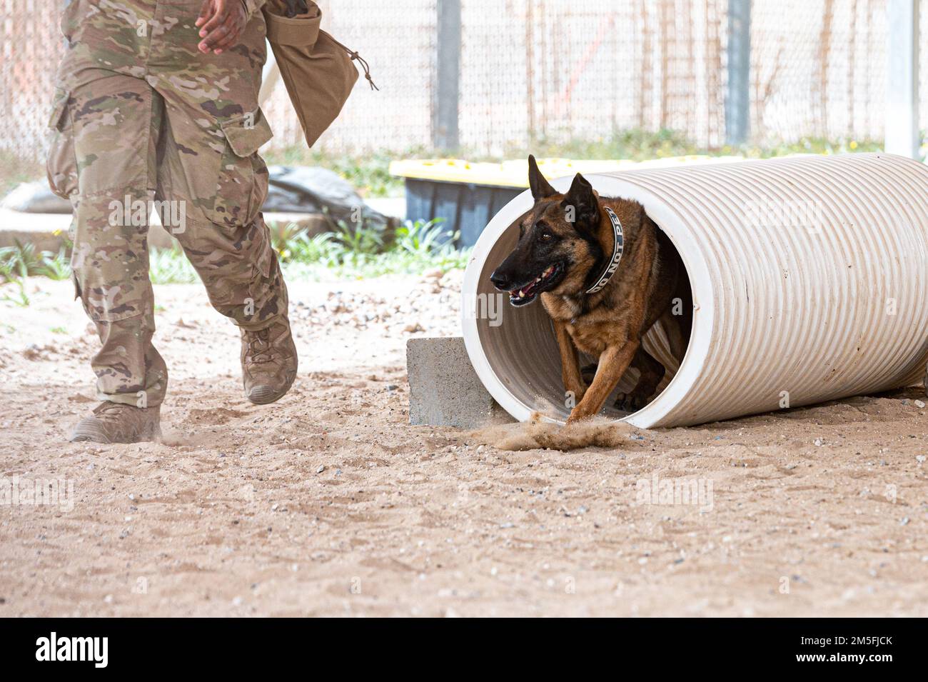 U.S. Air Force Senior Airman Taylor Bryant, a military working dog ...