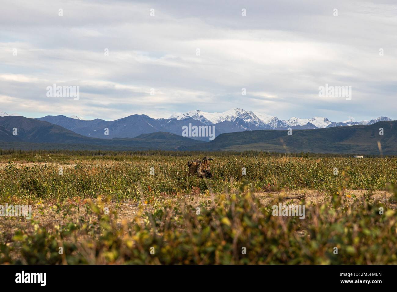 A U.S. Marine with Bravo Company, 1st Reconnaissance Battalion, 1st ...