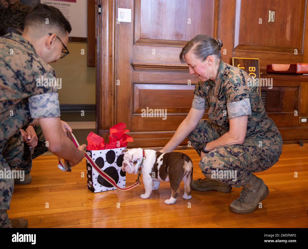 Brig. Gen. Julie L. Nethercot, Commanding General, meets the new depot ...