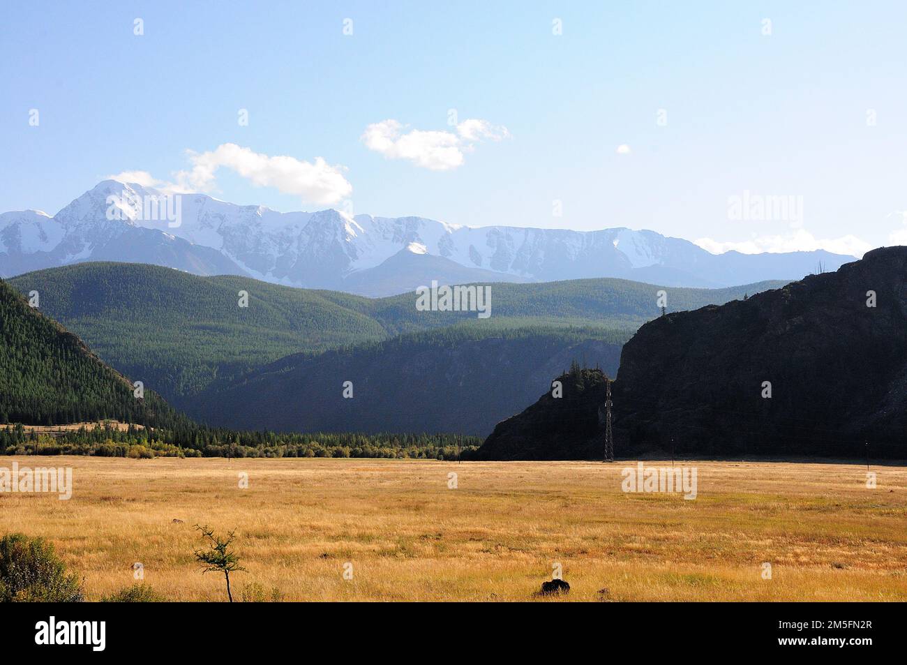 A flat valley surrounded by high hills overgrown with coniferous ...