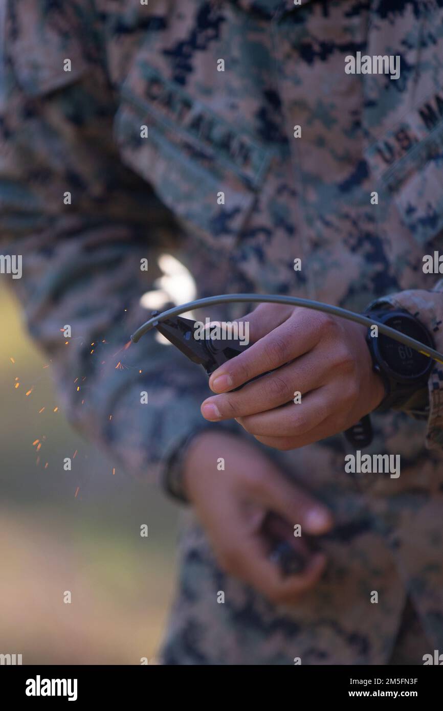 Sapper battalion 14 hi-res stock photography and images - Alamy